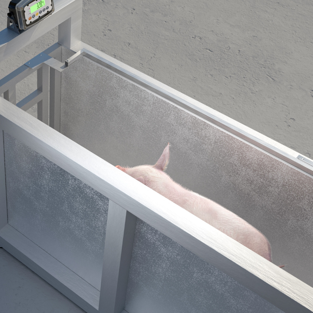Livestock Weighing System | Load Bars & Indicators for Farms