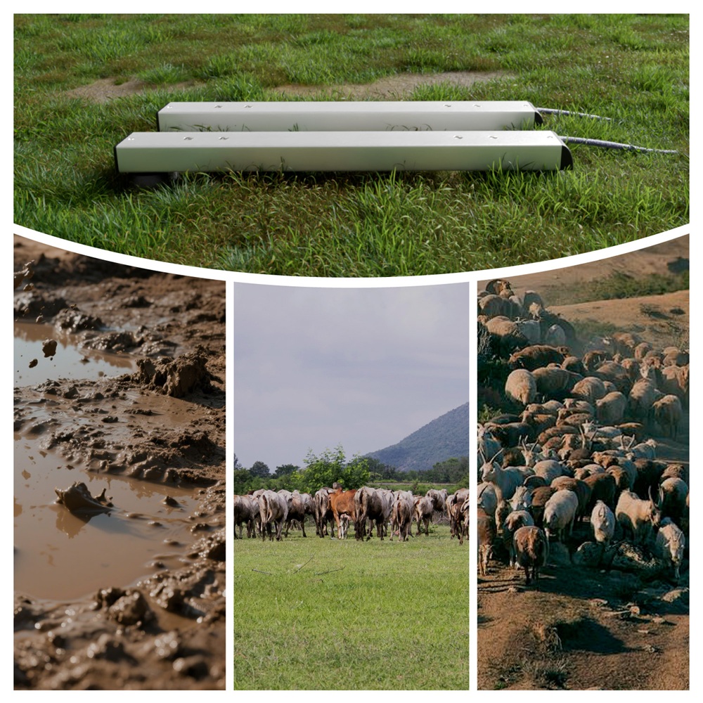Portable Cattle Scale Bar for Farm | Weigh Beams for Livestock